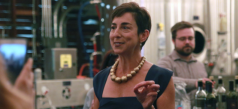 Susan Ellenberg Leads in Santa Clara County Supervisor Race | San Jose ...