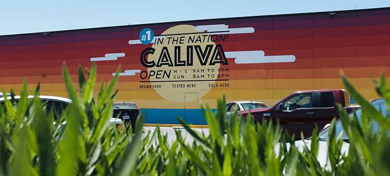 Pot Shots: Silicon Valley is on the Verge of a Weed Delivery Boom | San ...