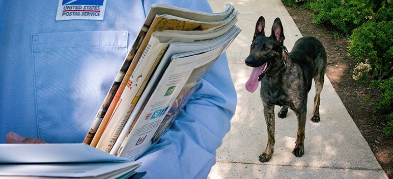 USPS to Dog Owners: Keep Your Canines Sheltered in Place | San Jose Inside