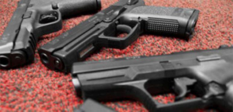 San Jose To Gun Owners Get Insurance And Pay Annual Fee San Jose Inside