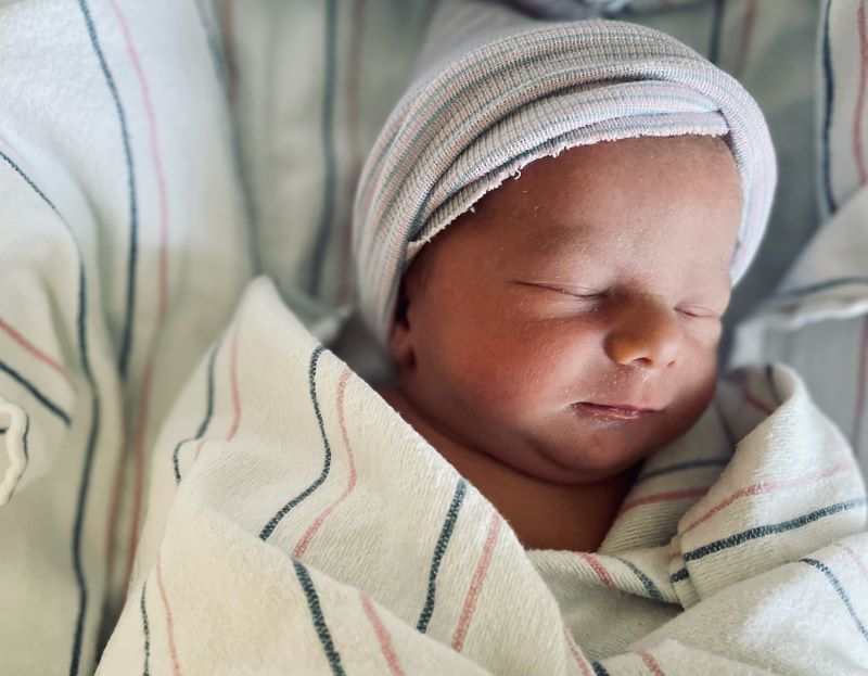 It's a Boy! And Joanna Rauh Joins San Jose's District 3 Council Race ...