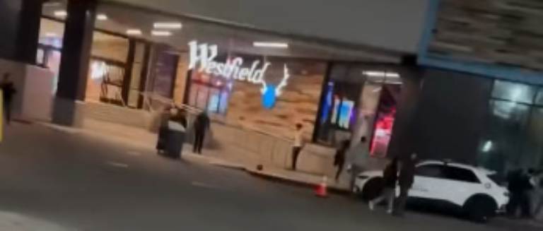 Terrified Shoppers Flee Black Friday Shooting at San Jose's Valley Fair ...